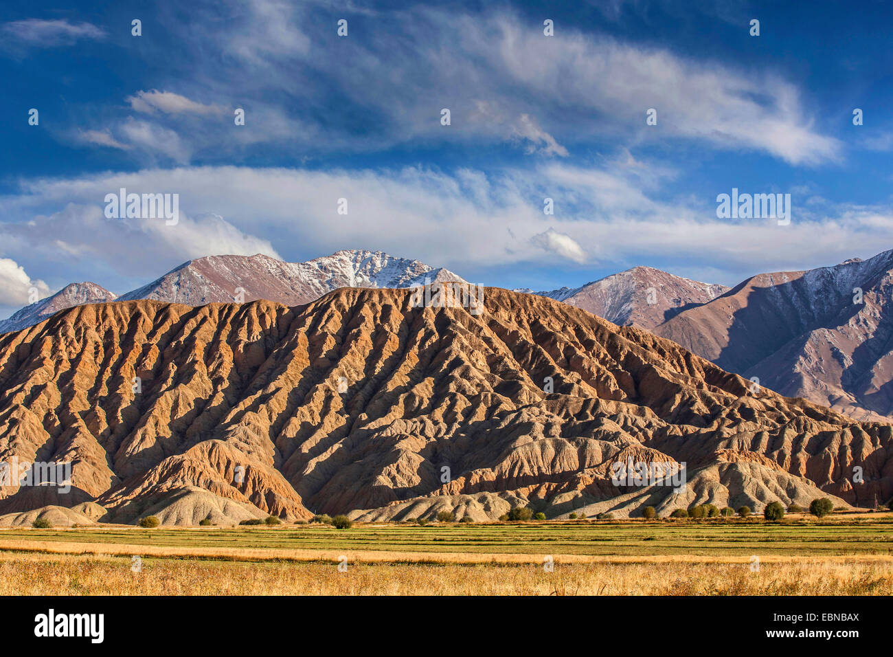 grain fields and meadows in front of mountain range, Kyrgyzstan ...