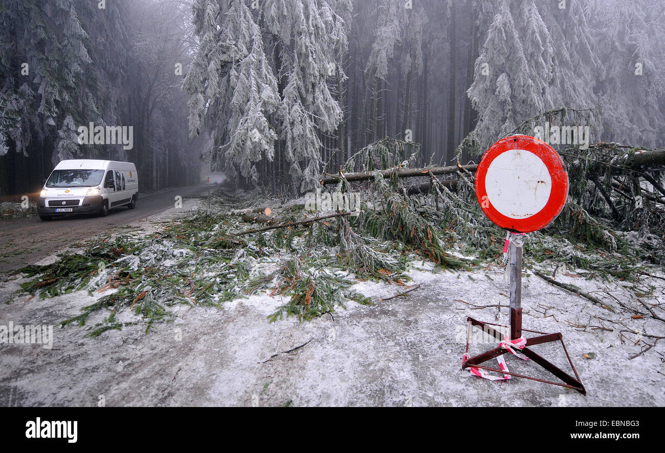 Zasovice, Czech Republic. 03rd Dec, 2014. Ice calamity has been ...