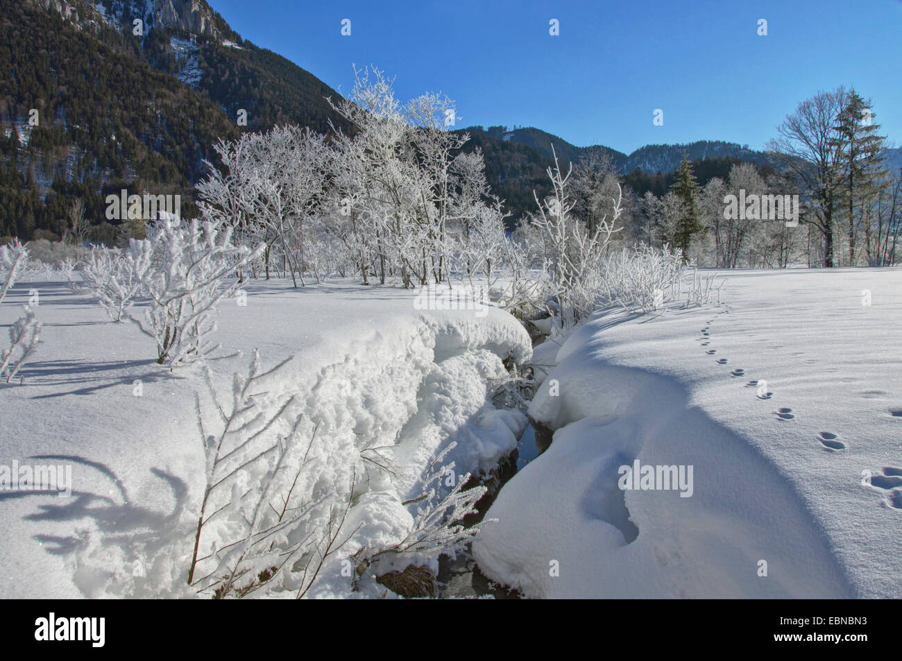 source of the Ammer near Oberammergau, Germany, Bavaria, Oberbayern ...
