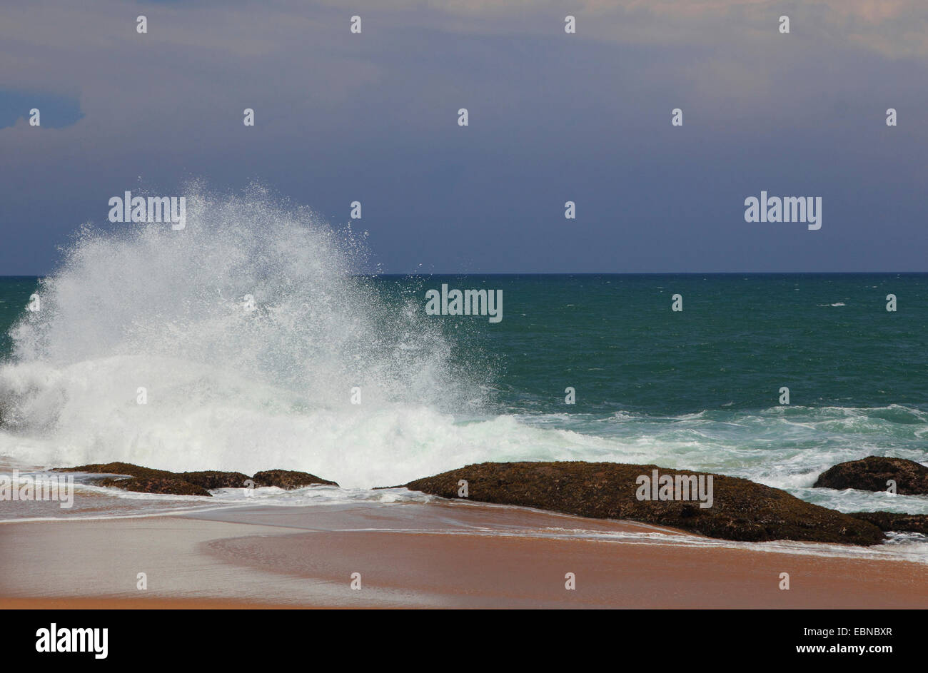 Yala national park beach hi-res stock photography and images - Alamy