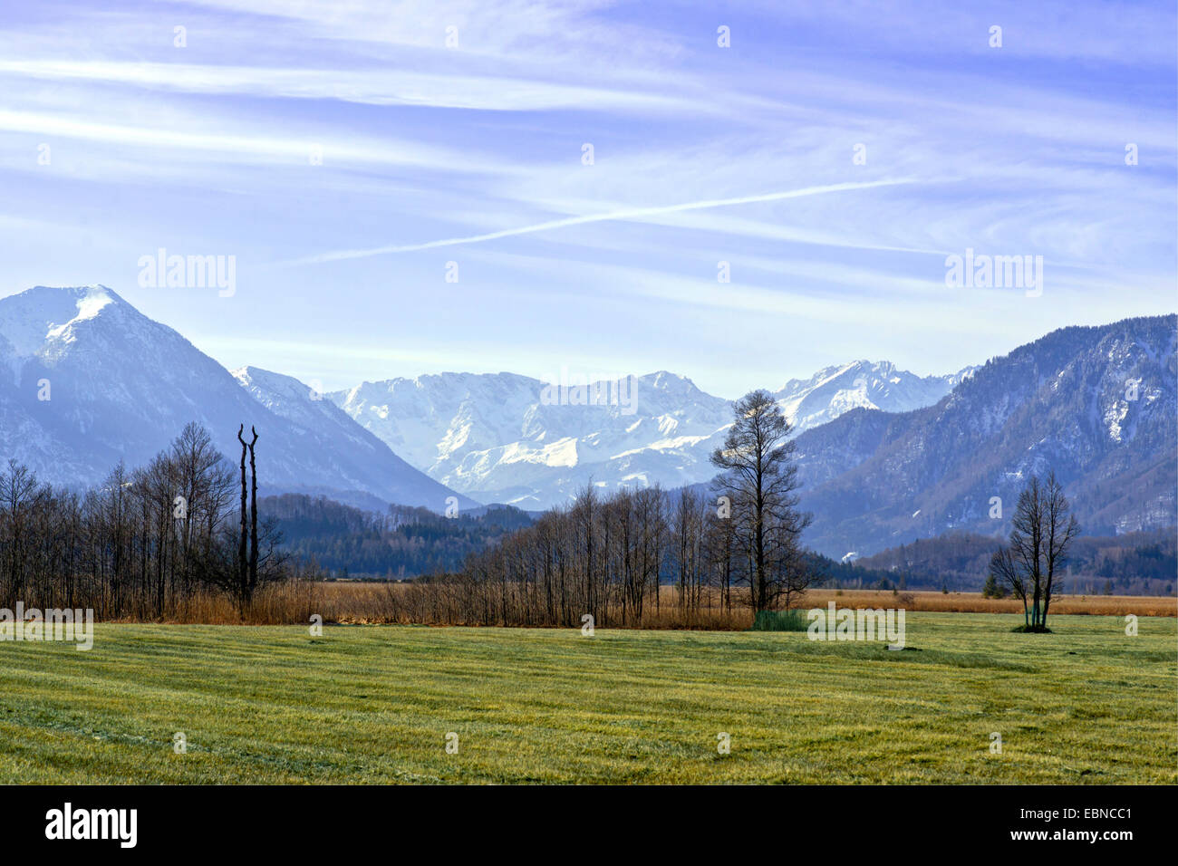 raised bog Murnauer Moos in winter, Germany, Bavaria, Oberbayern, Upper ...