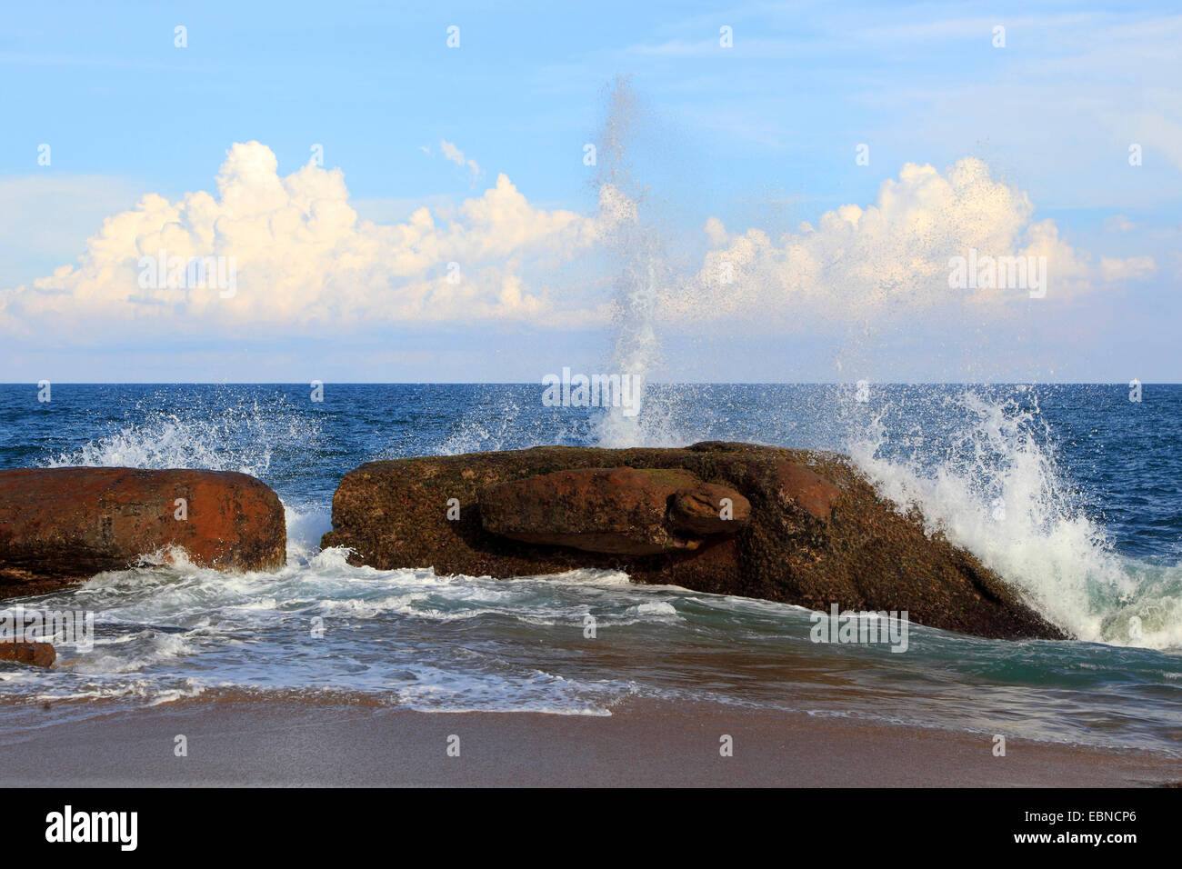 Yala national park beach hi-res stock photography and images - Alamy