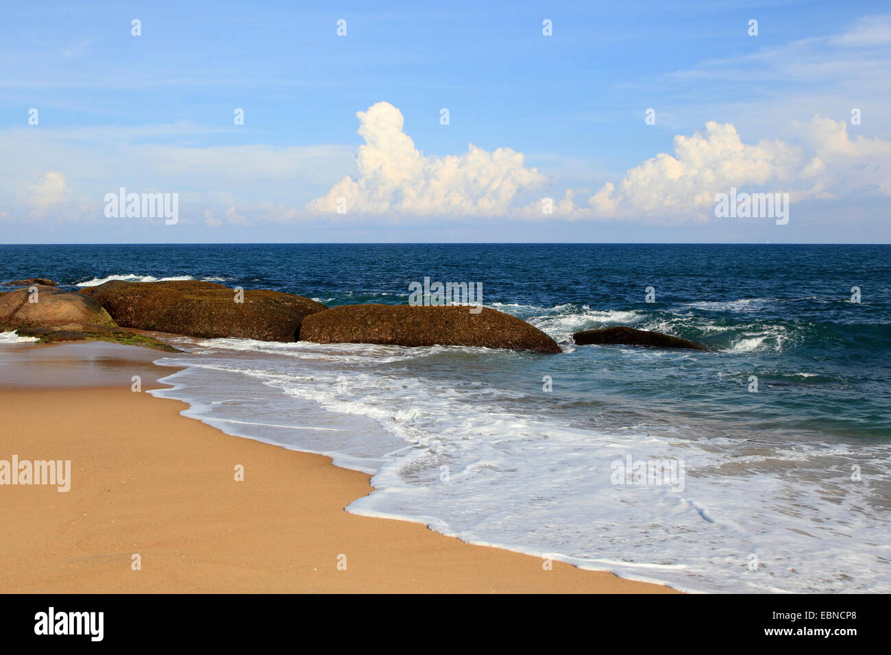 Yala national park beach hi-res stock photography and images - Alamy