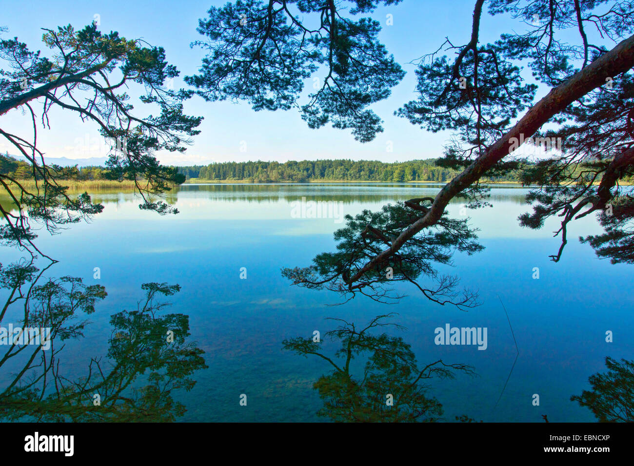 landscape at Lake Otter, Germany, Bavaria, Oberbayern, Upper Bavaria ...