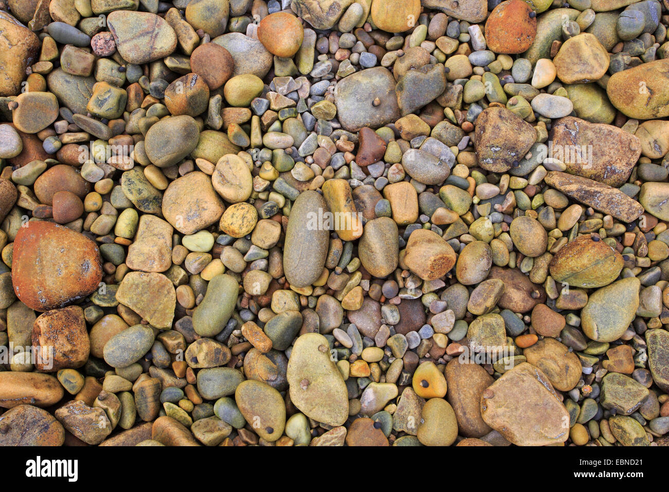Pebbles beach close up hi-res stock photography and images - Alamy