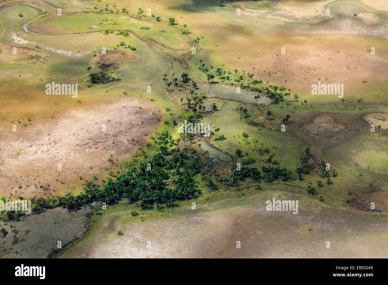 Rupununi High Resolution Stock Photography and Images - Alamy