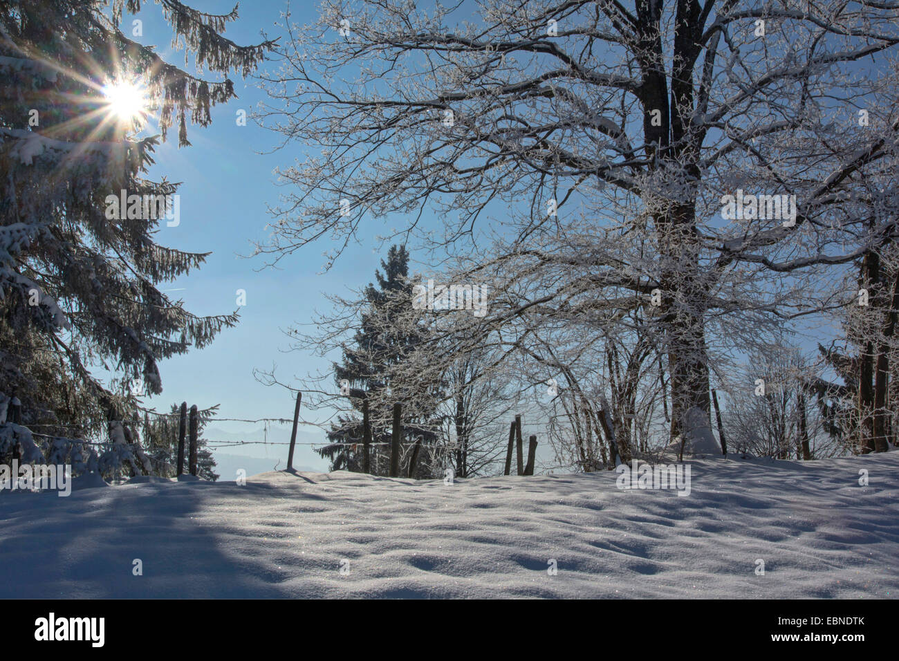 German scenery hi-res stock photography and images - Alamy