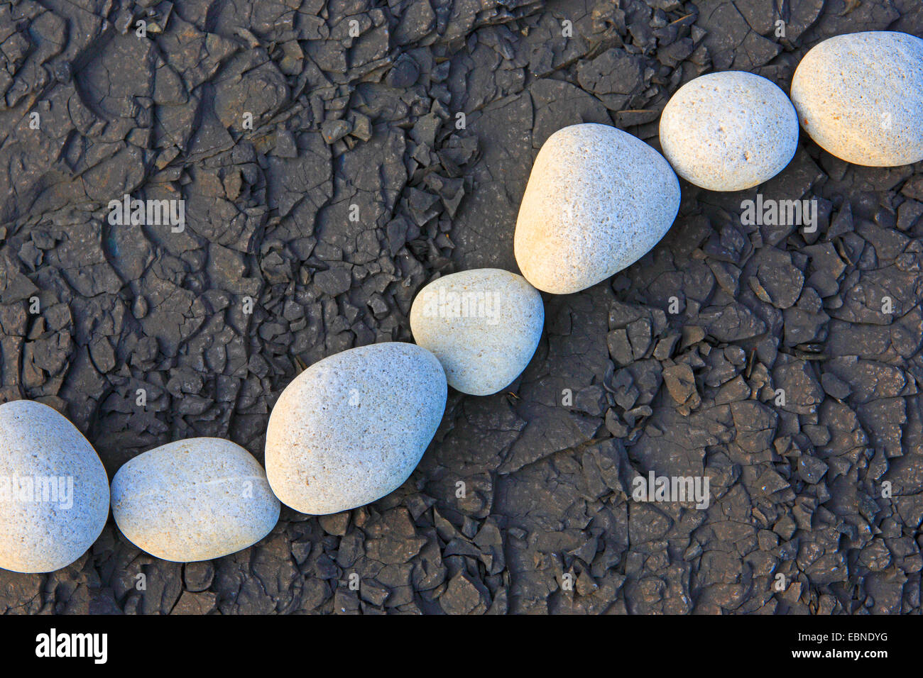 row of pebbles on the beach, United Kingdom, Scotland Stock Photo - Alamy
