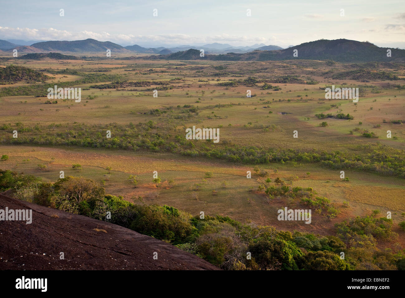 SOUTH RUPUNUNI at dawn, view from small mountain, Upper Takutu-Upper ...