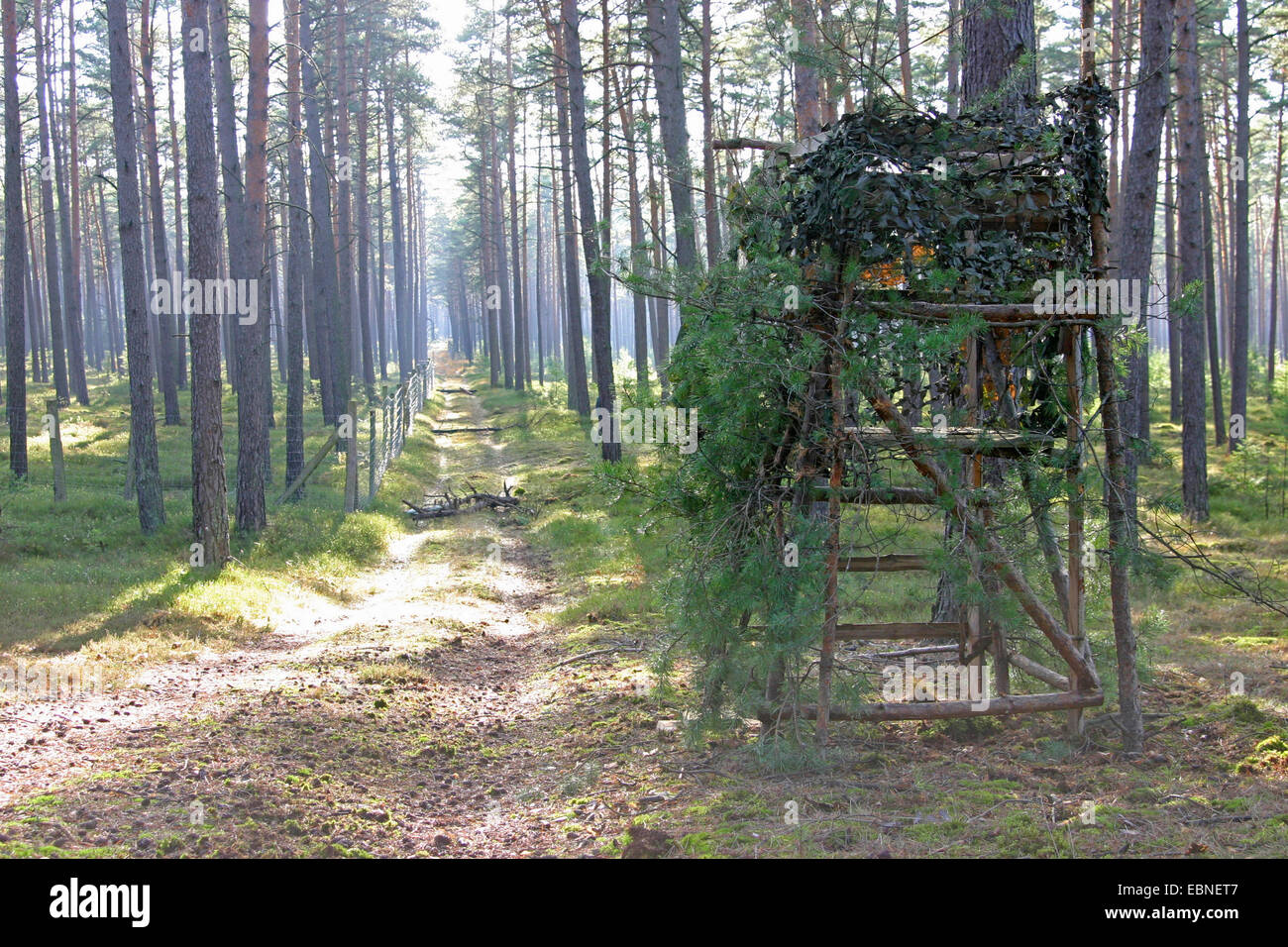 raised hide at forest path, Germany, Lower Saxony Stock Photo - Alamy raised hide at forest path, Germany, Lower Saxony Stock Photo - Alamy