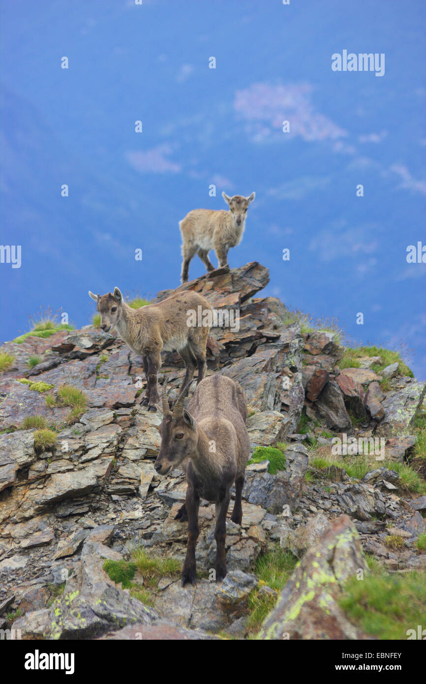 Bergamasker alpen hi-res stock photography and images - Alamy