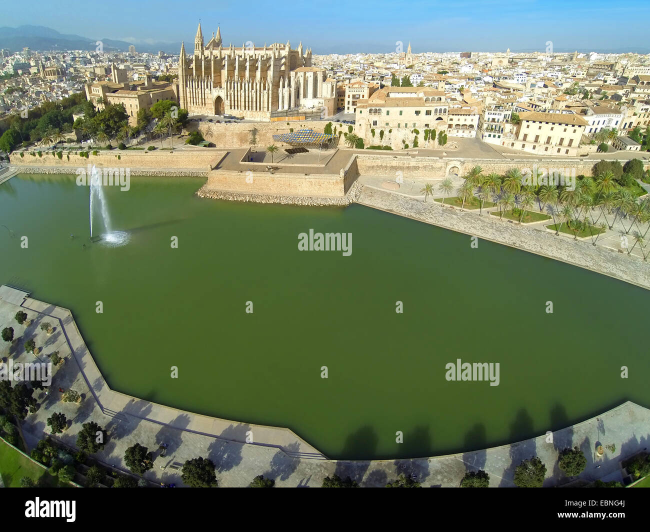aerial view from Parc de la Mar to La Seu Cathedral, Royal Palace of La ...