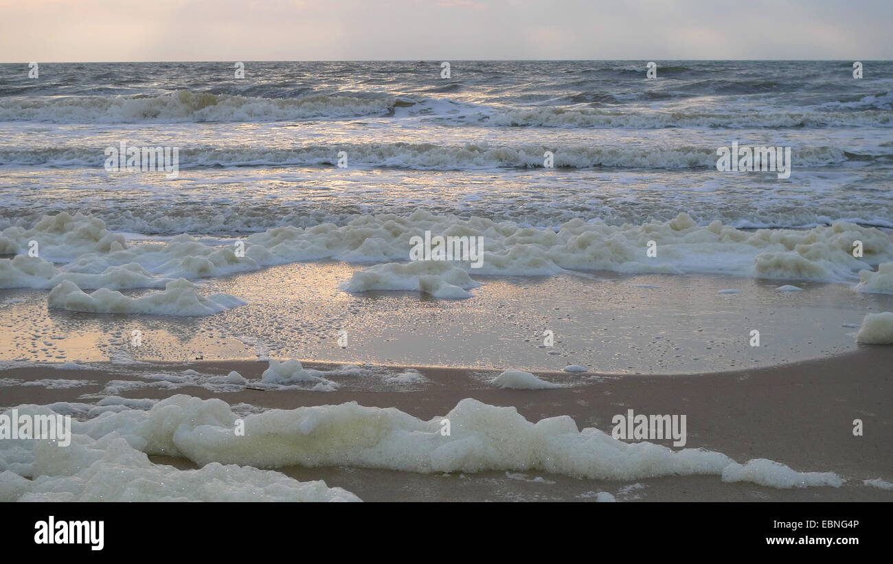 Foam on the beach hi-res stock photography and images - Alamy