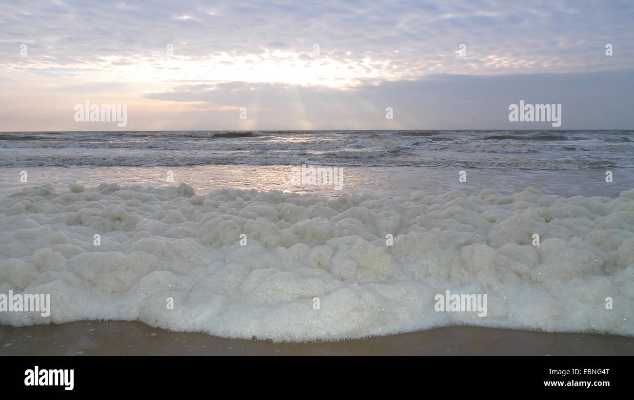 Foam on beach hi-res stock photography and images - Alamy