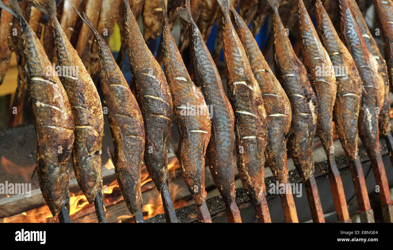 Fish On A Stick High Resolution Stock Photography and Images - Alamy