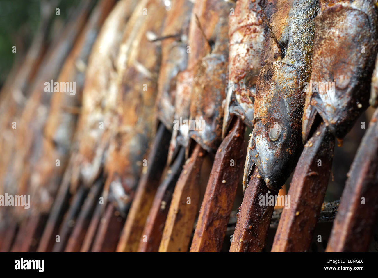 Fish On A Stick High Resolution Stock Photography and Images - Alamy