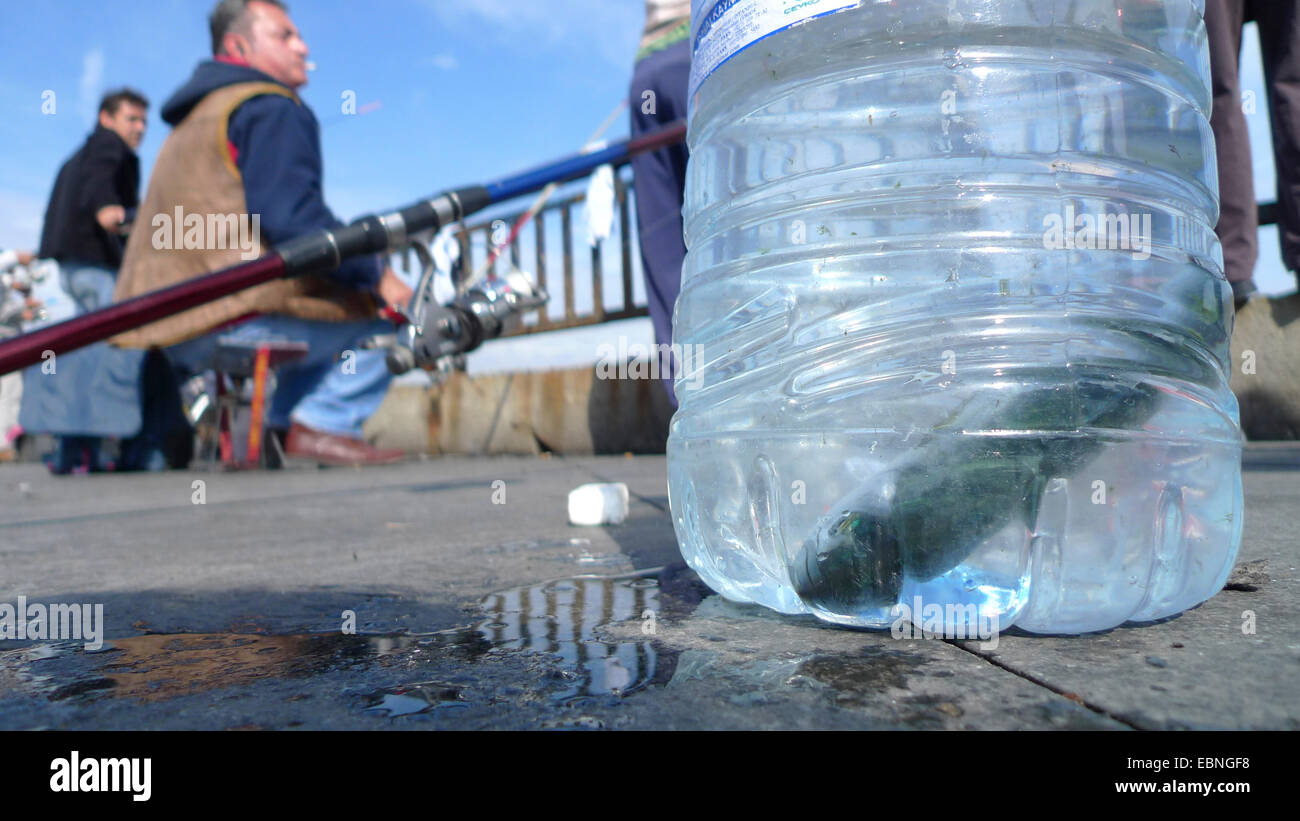 Bottle fish hi-res stock photography and images - Alamy