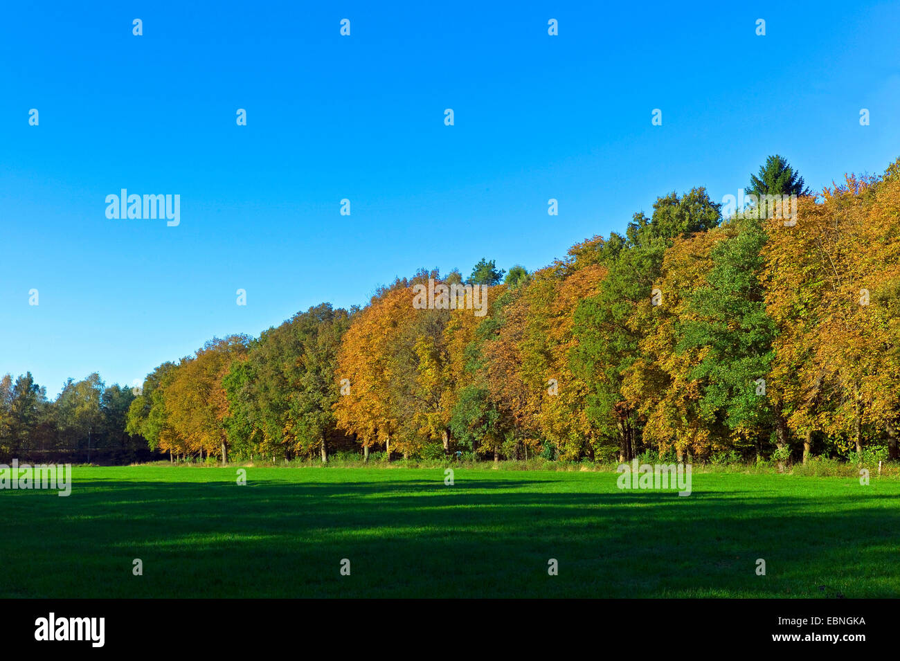 Osterholz hi-res stock photography and images - Alamy