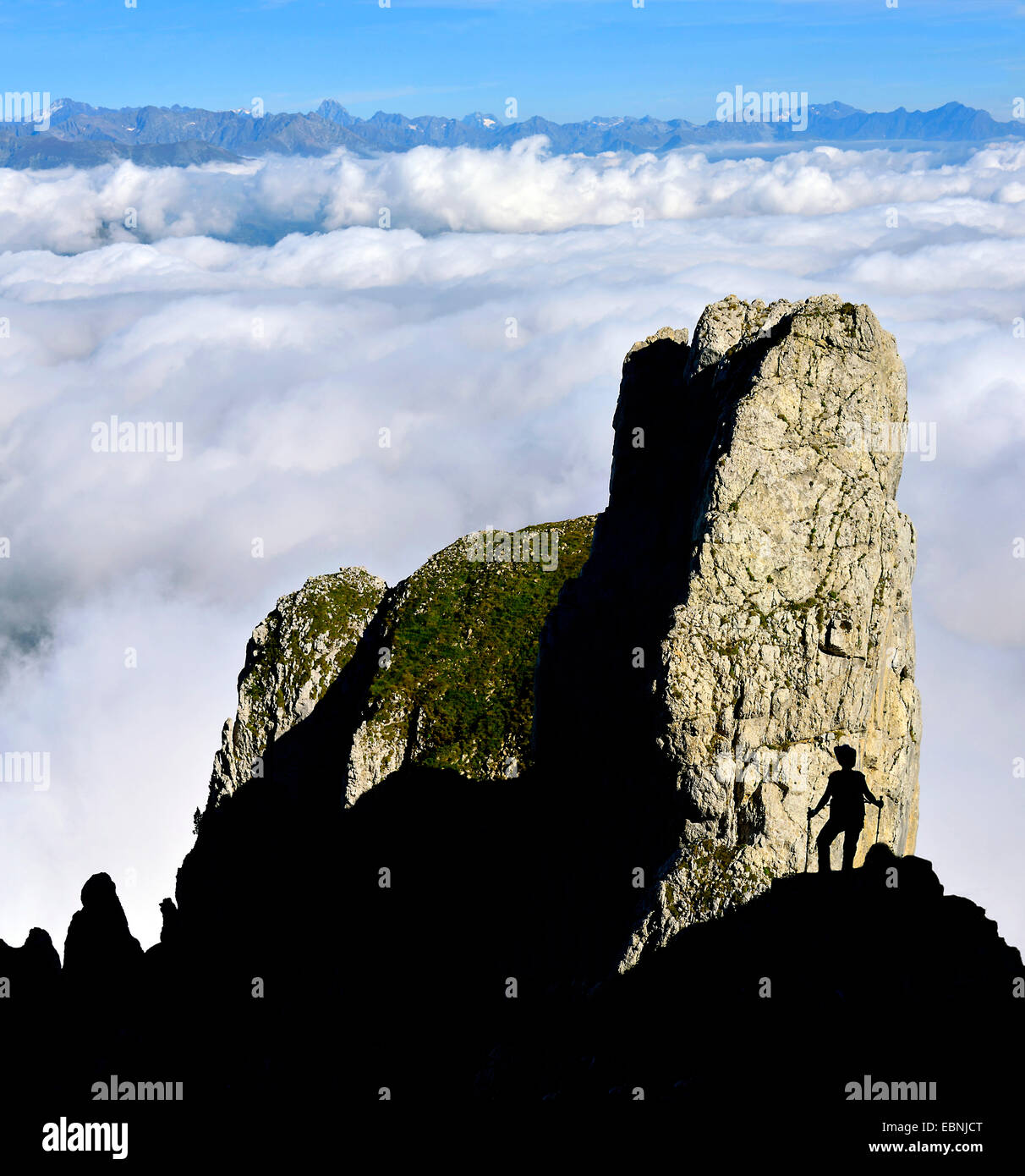 Oeille hi-res stock photography and images - Alamy