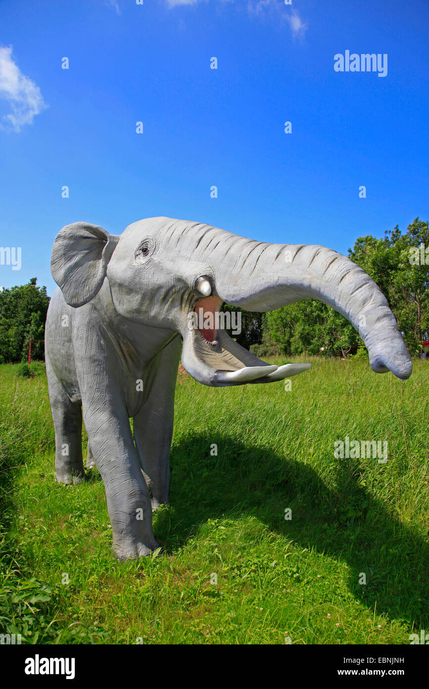 Platybelodon Grangeri