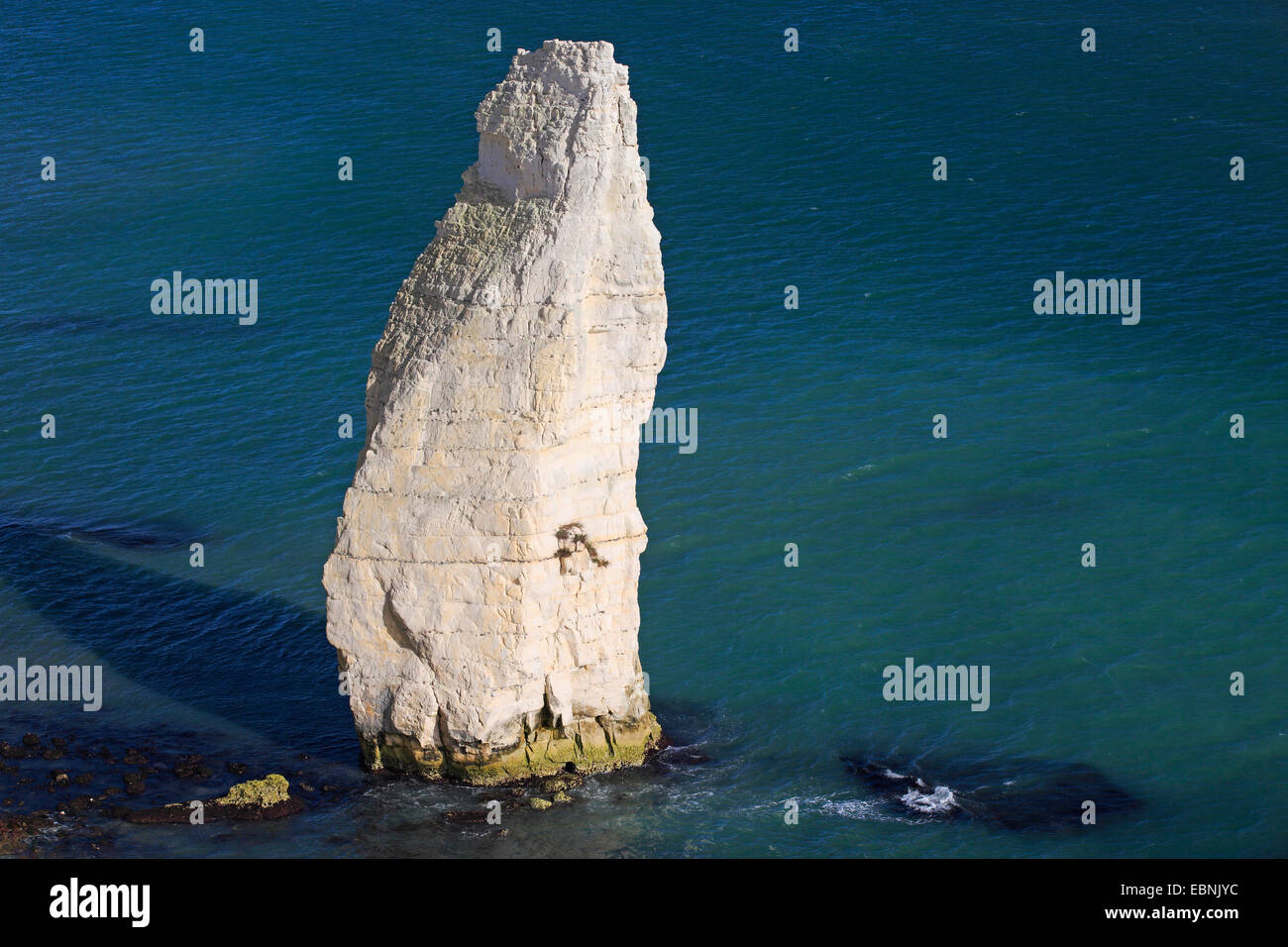 needle rock of the Old Harry Rocks, United Kingdom, England, Dorset ...