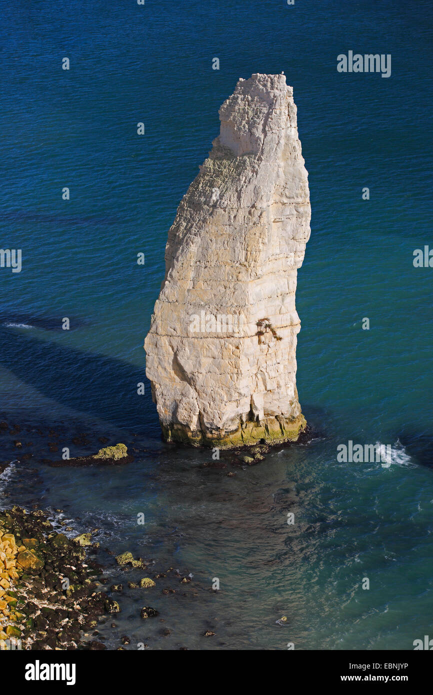 needle rock of the Old Harry Rocks, United Kingdom, England, Dorset ...