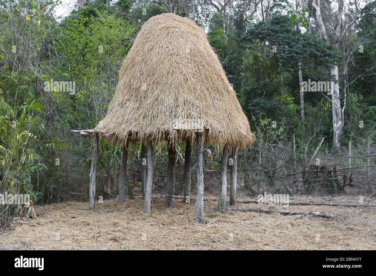 Haystack on stilts, India, Andaman Islands Stock Photo - Alamy