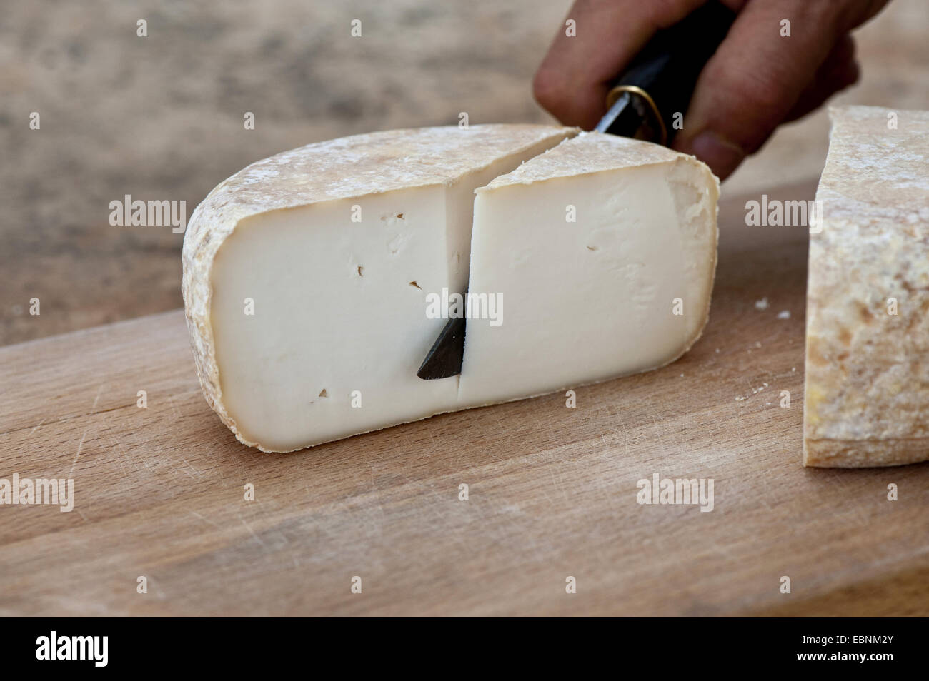 Cutting Cheese Wheel High Resolution Stock Photography and Images - Alamy