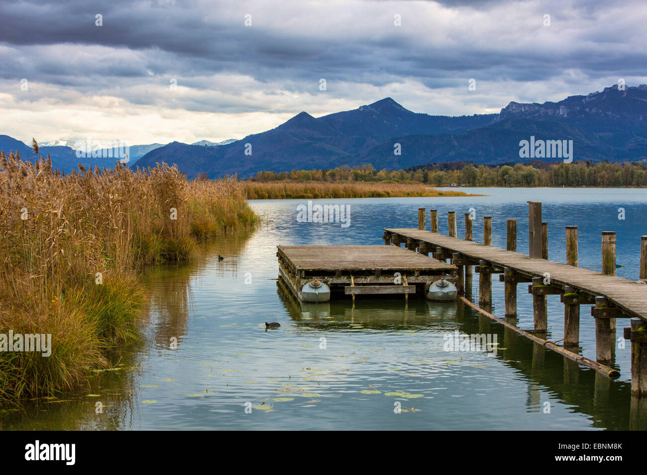 autumn at the Chiemsee in front of Alps scenery, Germany, Bavaria, Lake ...