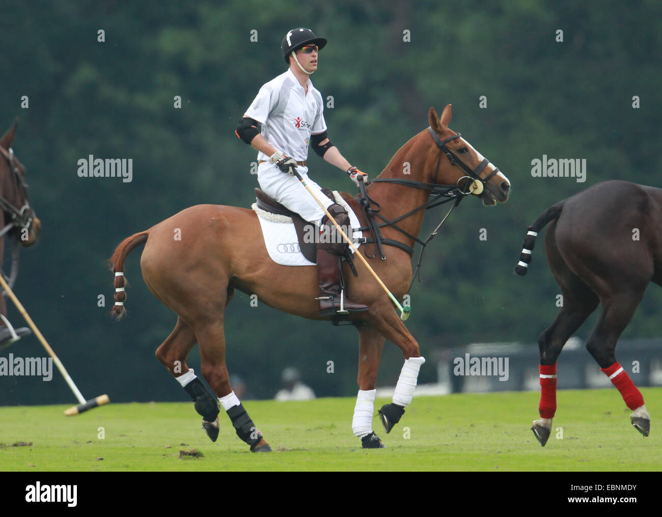 Prince Harry and Prince William play polo at Audi Challenge Featuring ...