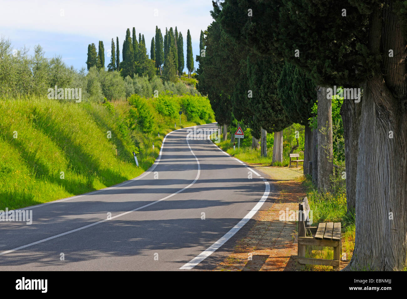 Tuscany country tree lined avenue hi-res stock photography and images ...