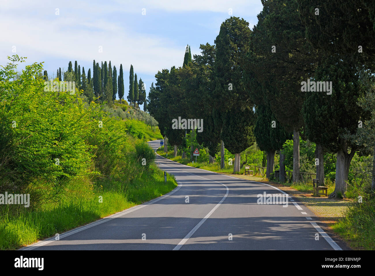 Tuscany country tree lined avenue hi-res stock photography and images ...
