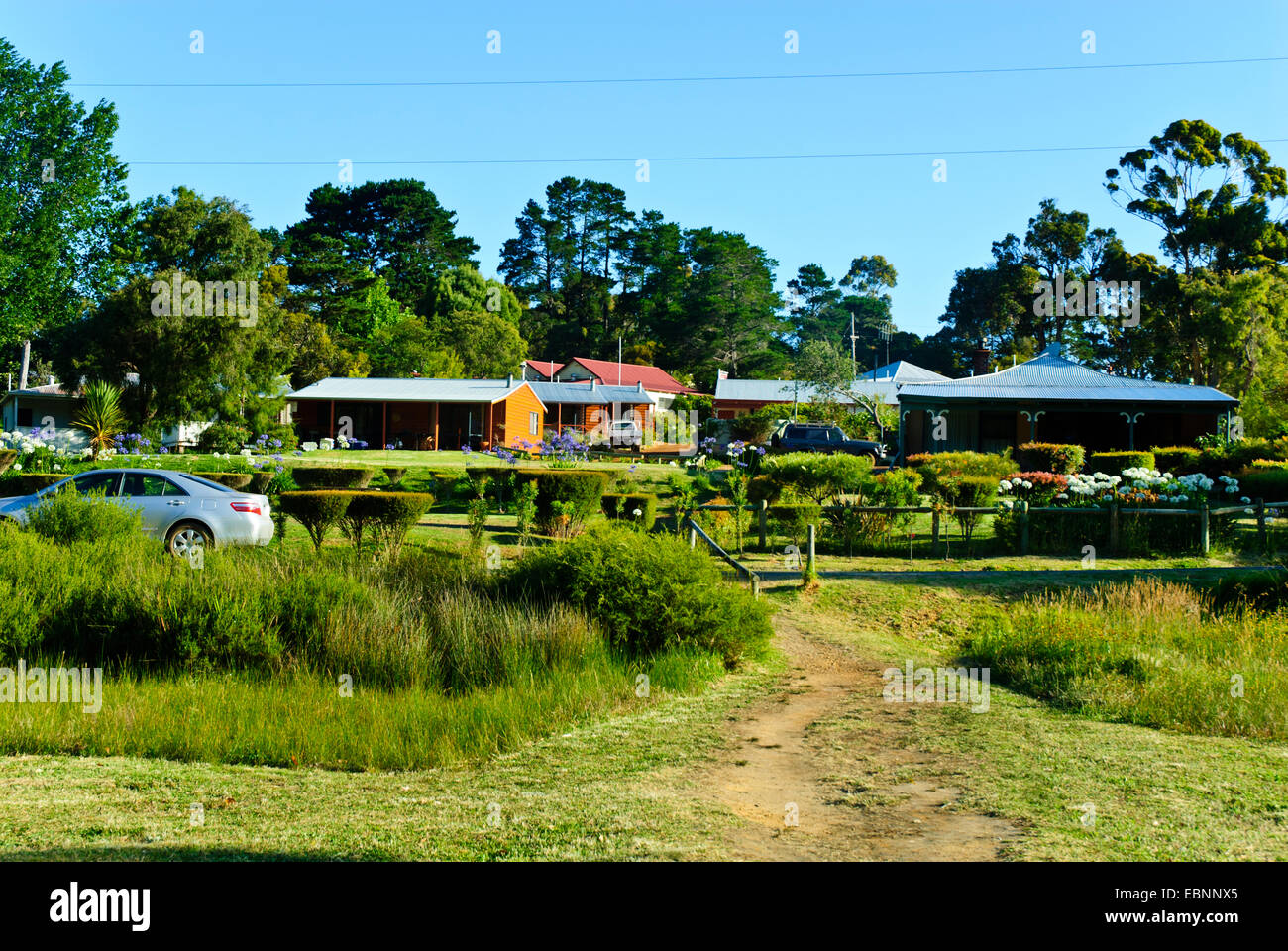 Walpole landscapes,Beaches,Forest,Agriculture,Flora & Fauna,Trees in ...