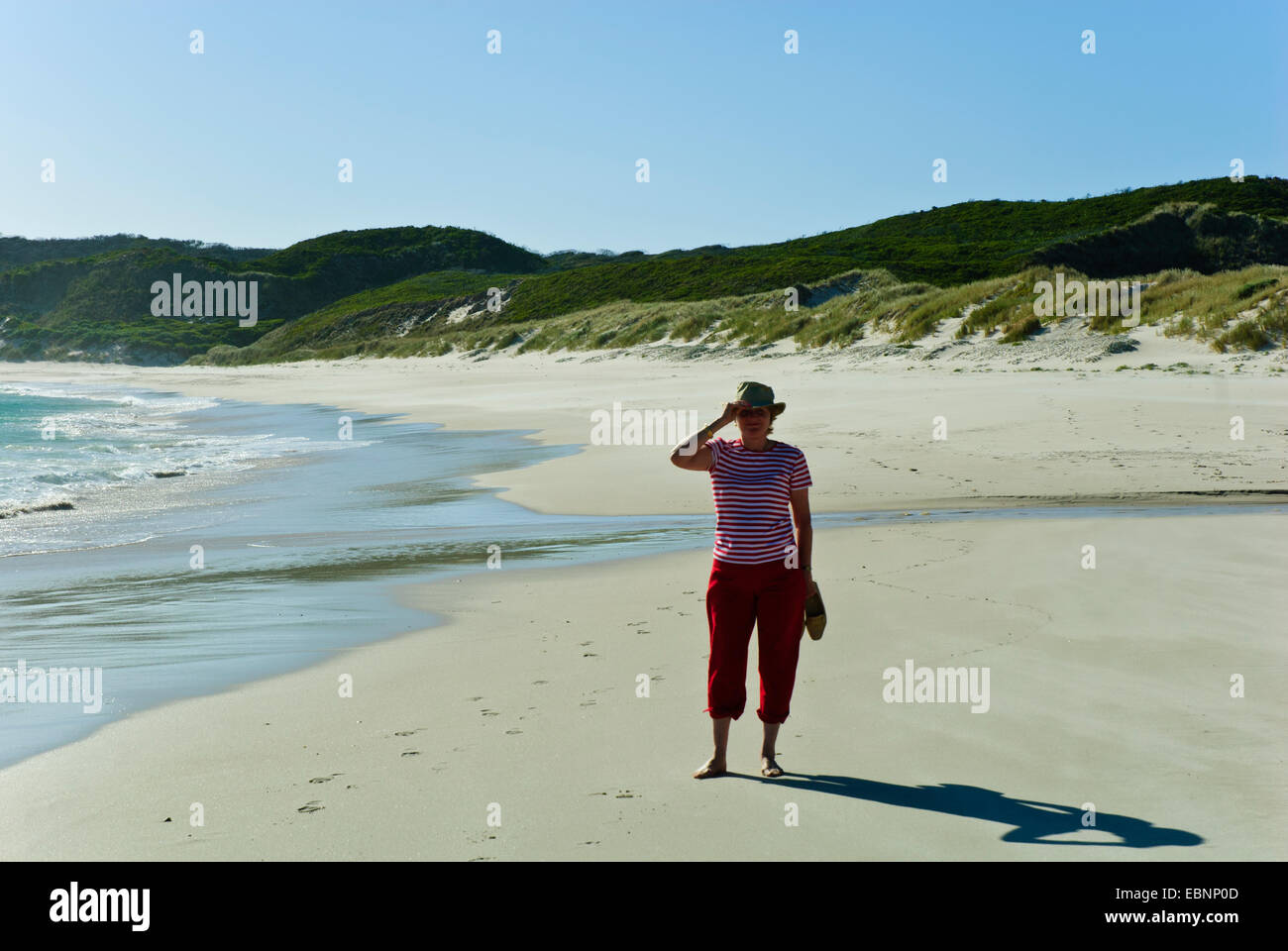 Empty street with cows hi-res stock photography and images - Alamy