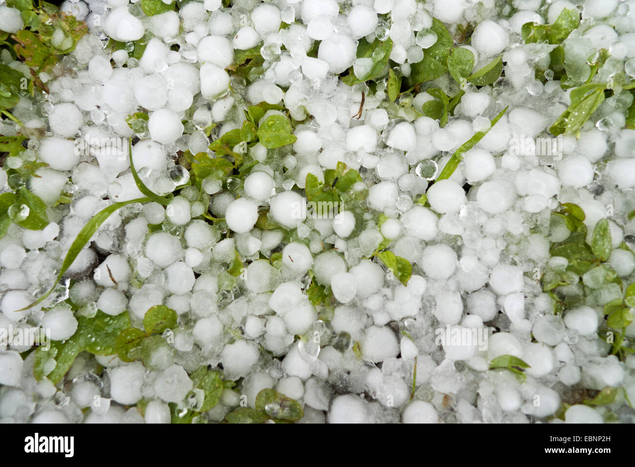 Tyrol a held hail hi-res stock photography and images - Alamy