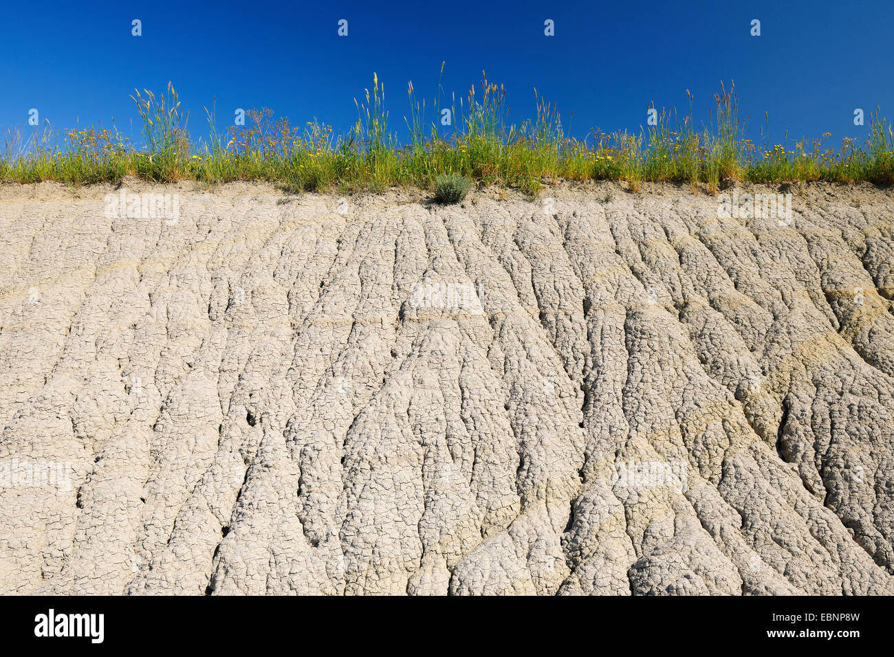 Soil shapes hi-res stock photography and images - Alamy