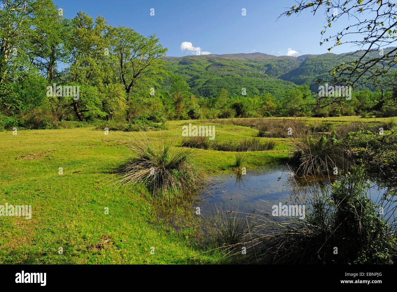 Spawning areas hi-res stock photography and images - Alamy