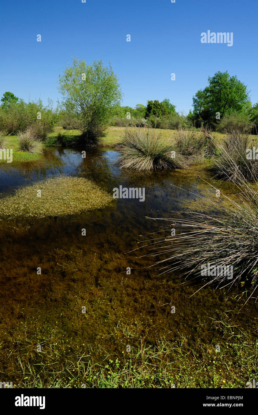 Spawning areas hi-res stock photography and images - Alamy