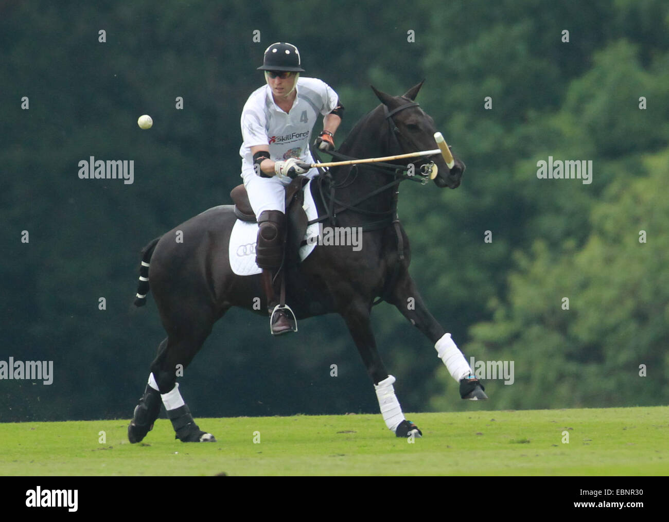 Prince Harry and Prince William play polo at Audi Challenge Featuring ...
