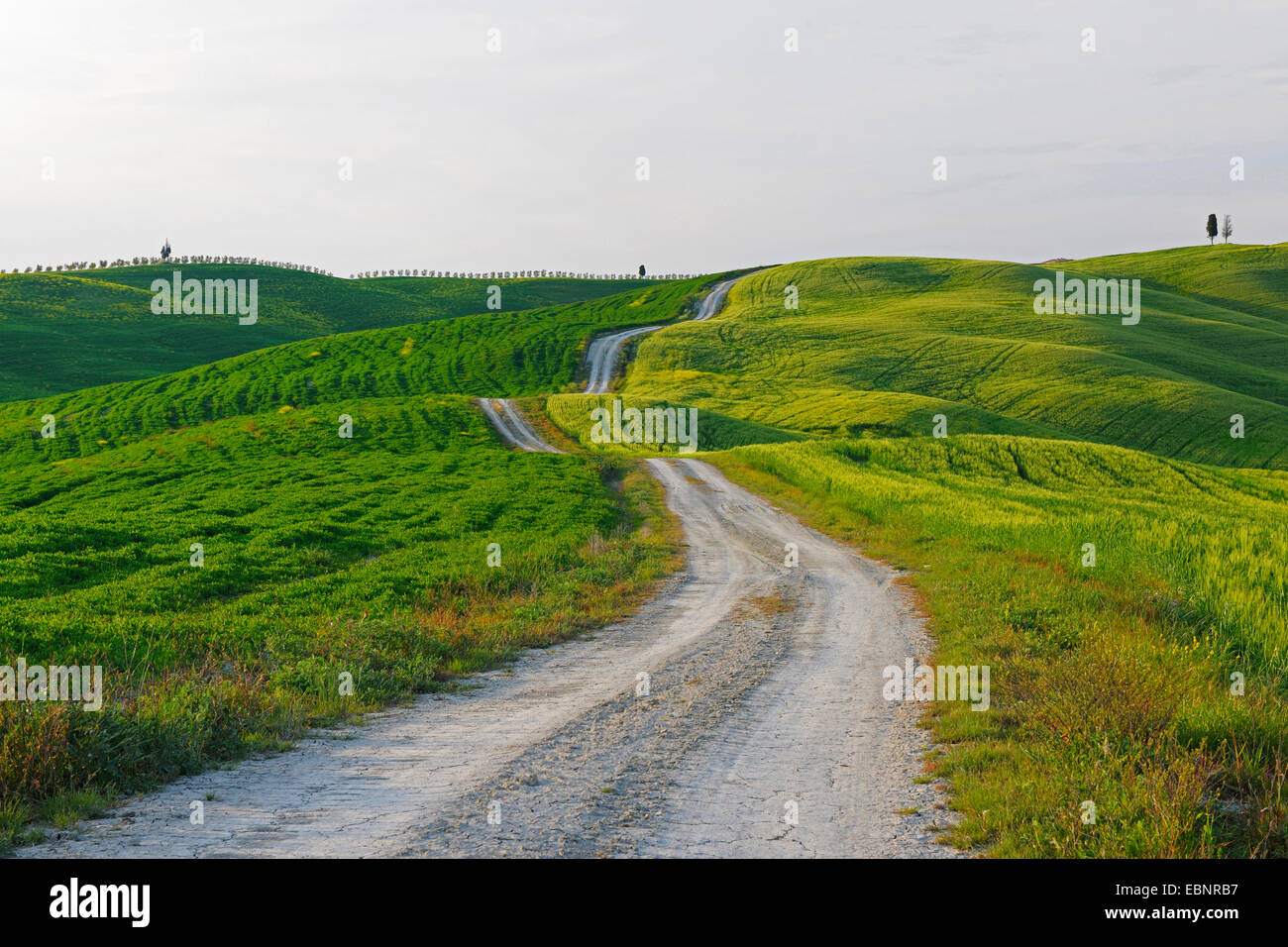 Trough field hi-res stock photography and images - Alamy