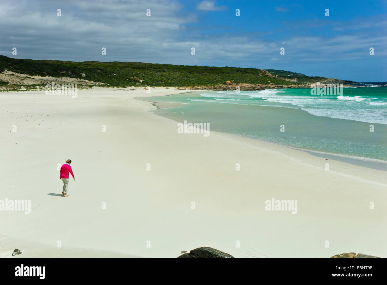 Walpole landscapes,Beaches,Forest,Agriculture,Flora & Fauna,Trees in ...