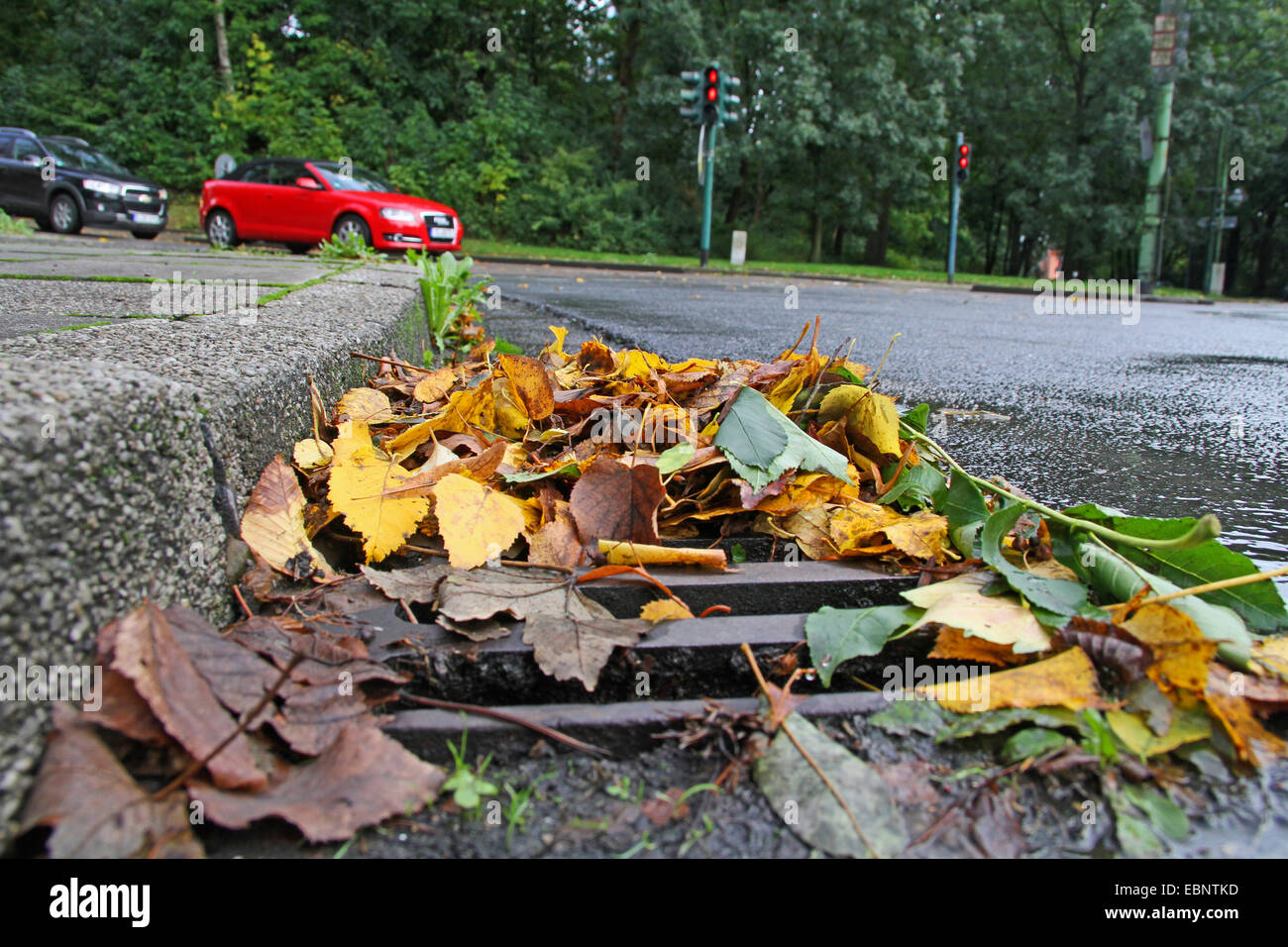 Drainage gully hi-res stock photography and images - Alamy