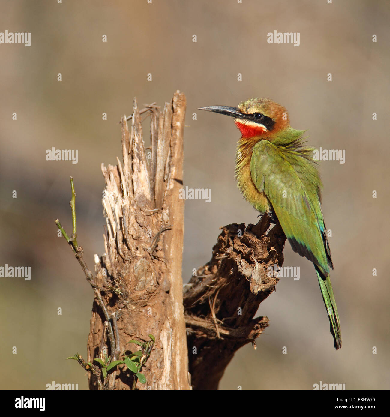 Sitsside hi-res stock photography and images - Alamy