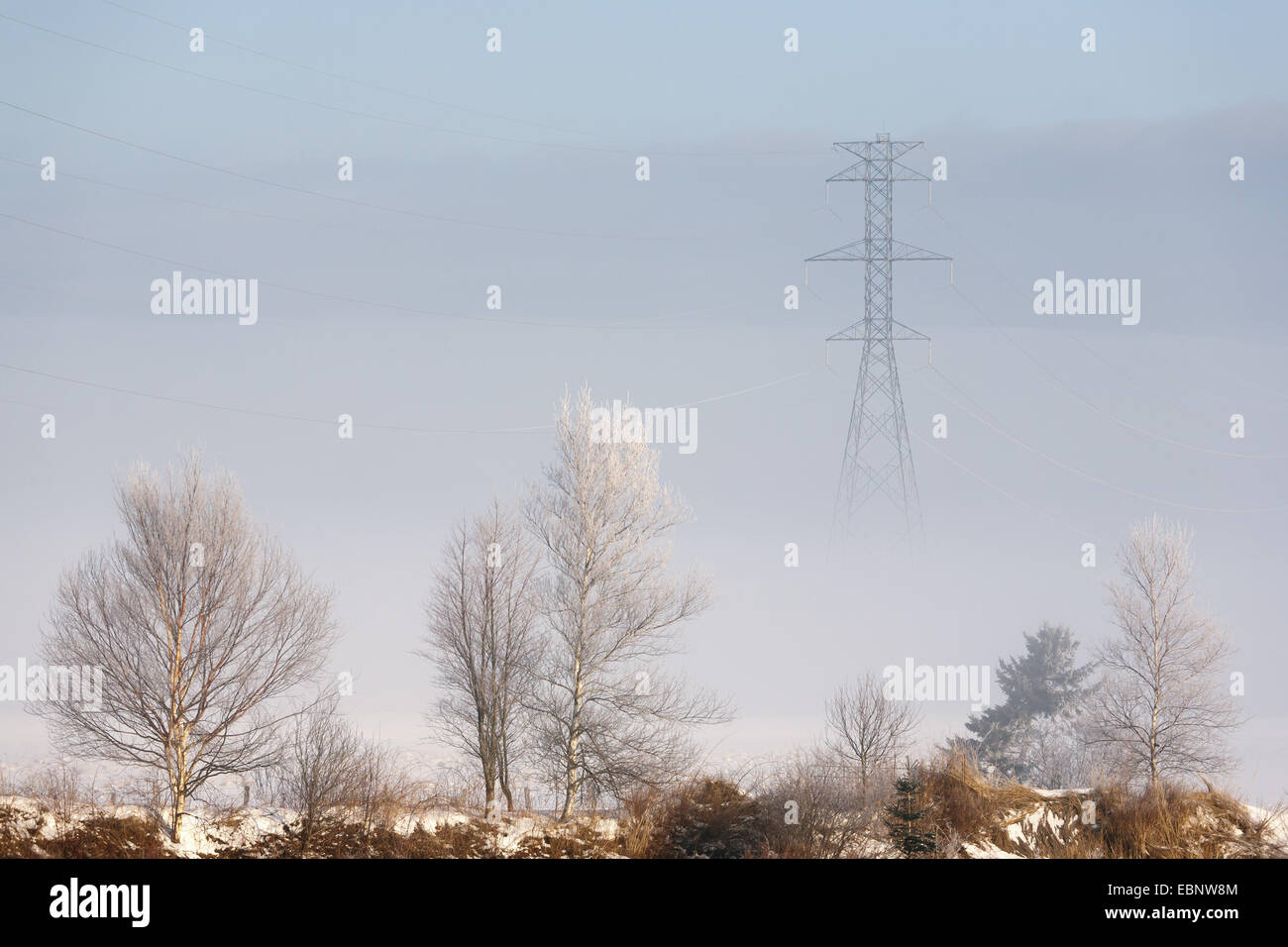 Winter scene with trees, fog and power line tower in background Stock ...