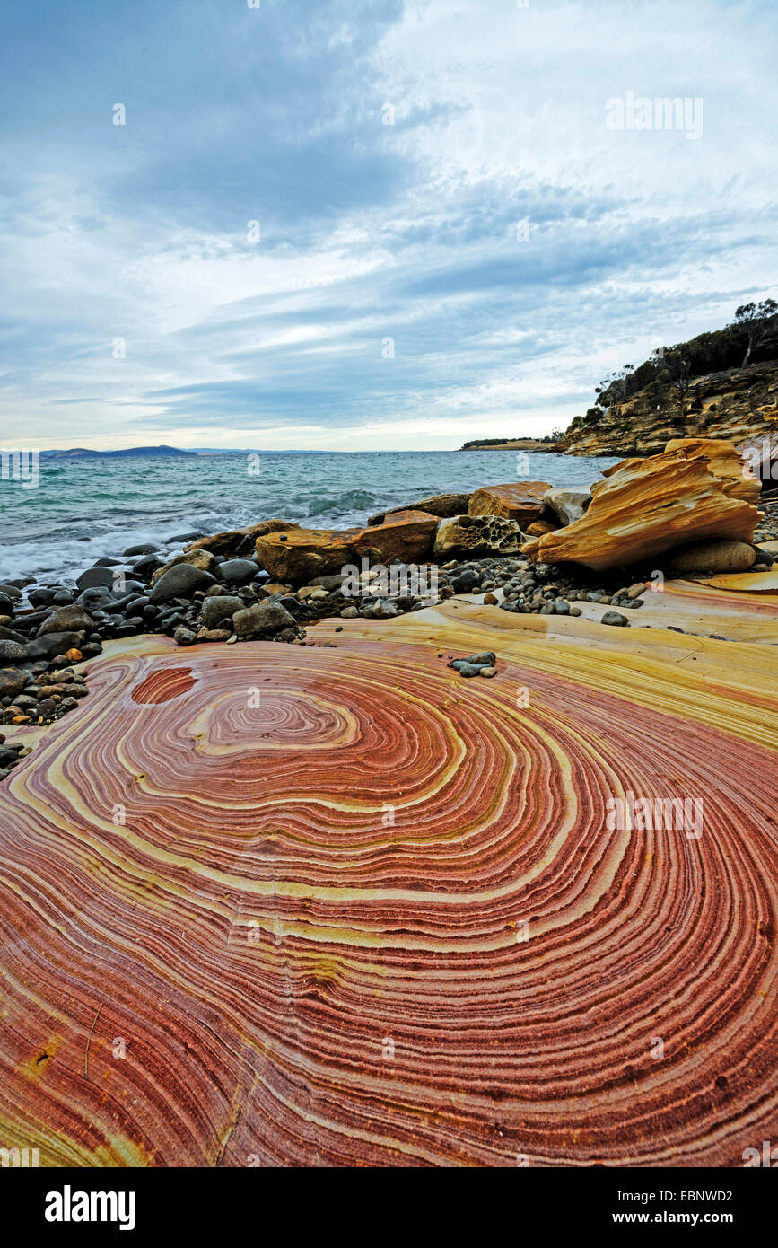 colourful sandstone Painted Cliffs at the coast of Maria Island ...