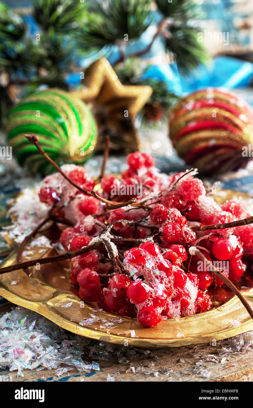 Berry kalina hi-res stock photography and images - Alamy