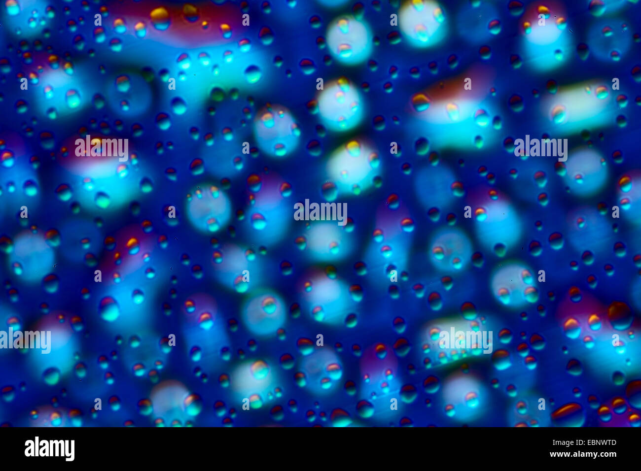 waterdrops in differential interference contrast Stock Photo - Alamy