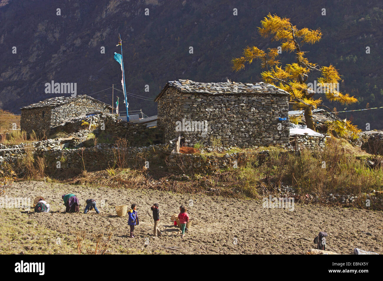 Nepalese workers hi-res stock photography and images - Alamy