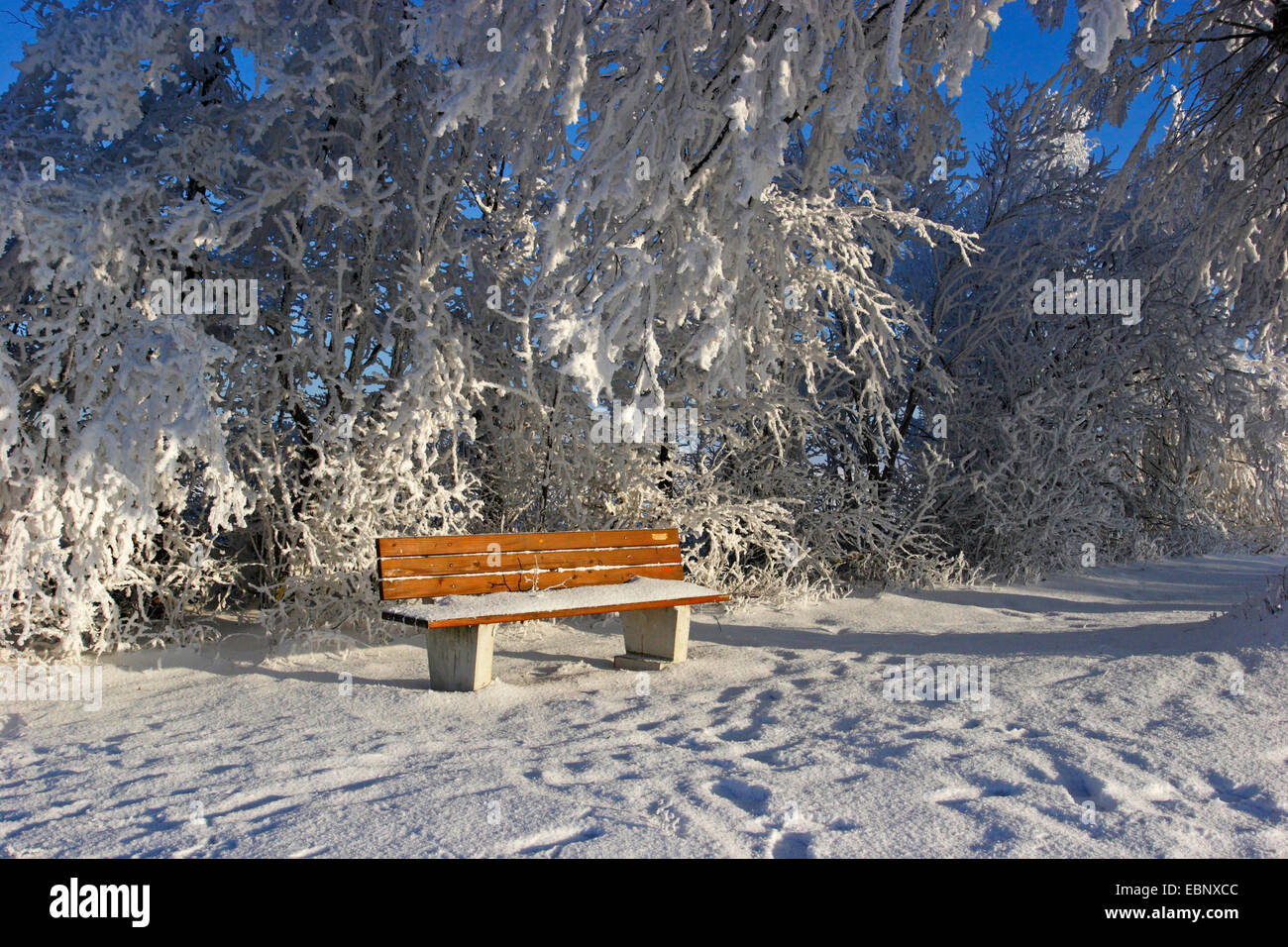 The West Germany Bench High Resolution Stock Photography and Images - Alamy