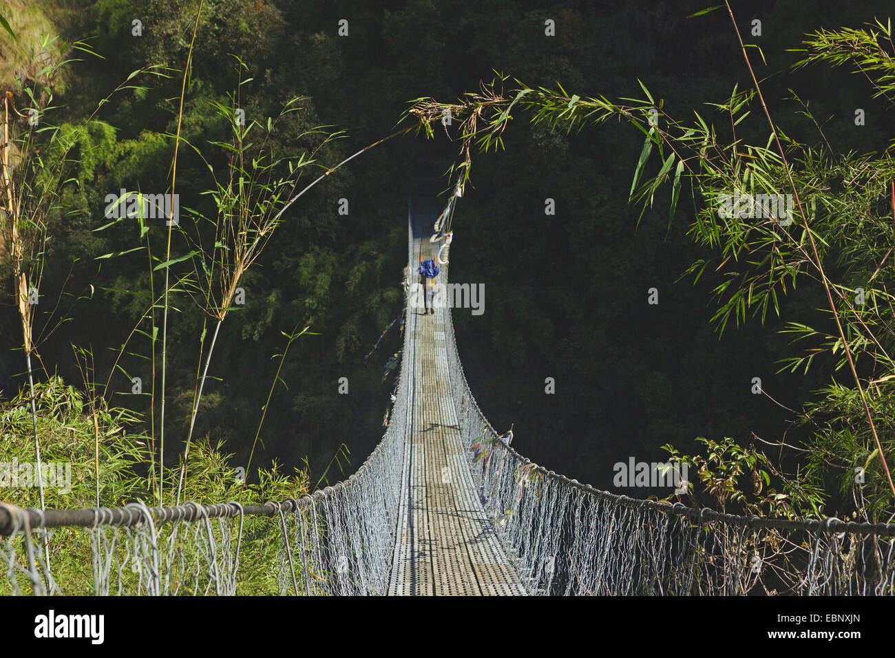 suspension bridge at the Langtang Valley, Nepal, Langtang Himal Stock ...